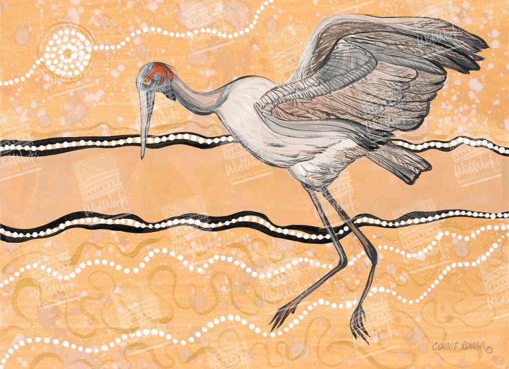 Brolga - WidiWorks