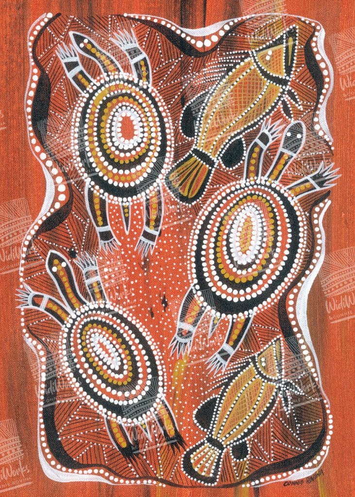 Long Necked Turtles And Fish In Creek - WidiWorks