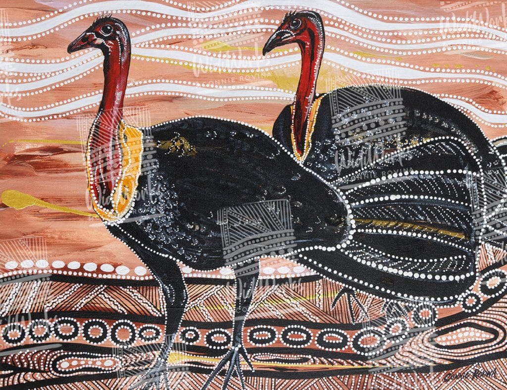 Bush Turkeys - WidiWorks